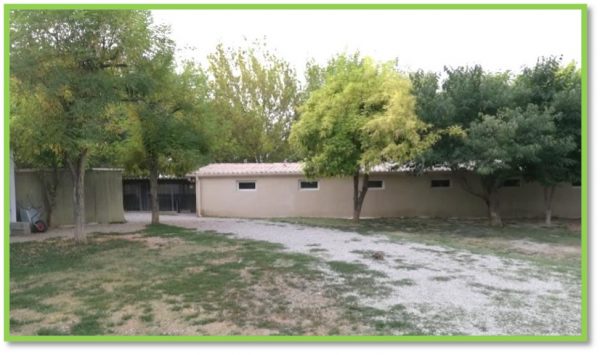 Adopter au refuge de Manosque - ASPA Manosque