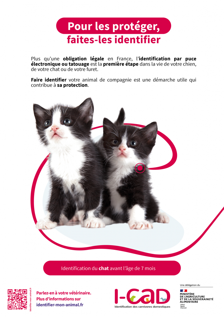 Adopter un animal au refuge de Manosque - ASPA Manosque
